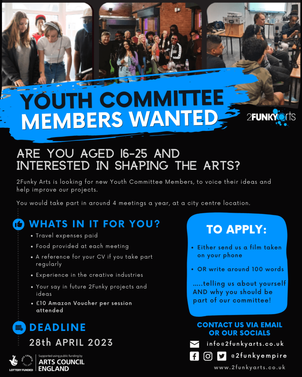 Youth Committee Callout – 2Funky Arts